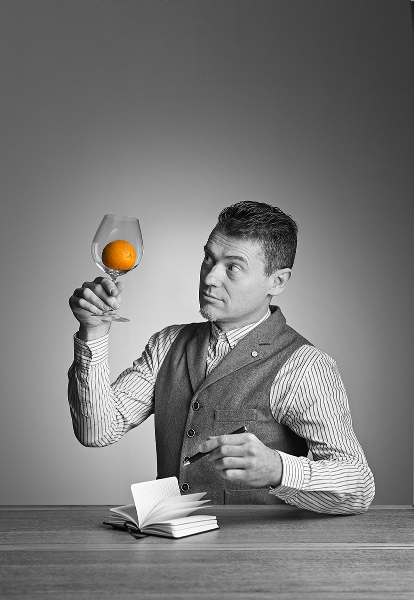 About the book – Amber Revolution